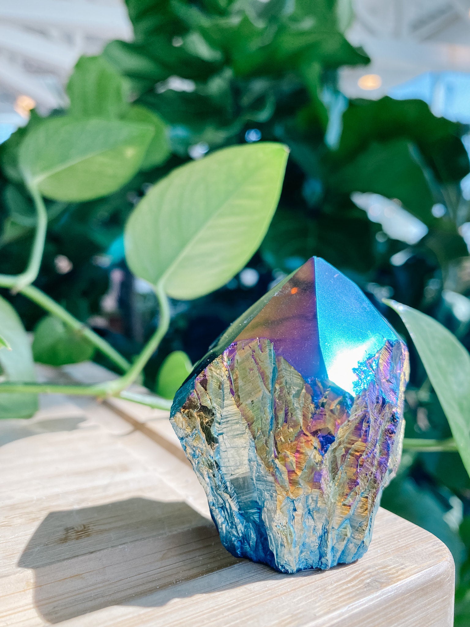 Rainbow Titanium Top Polished Point Cut Base Botaniful Rainbow Titanium Top Polished Point Cut Base Botaniful