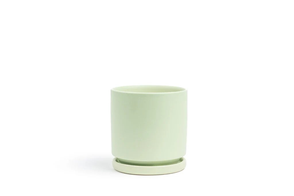 Planter Cylinder with Tray Sage | Botaniful