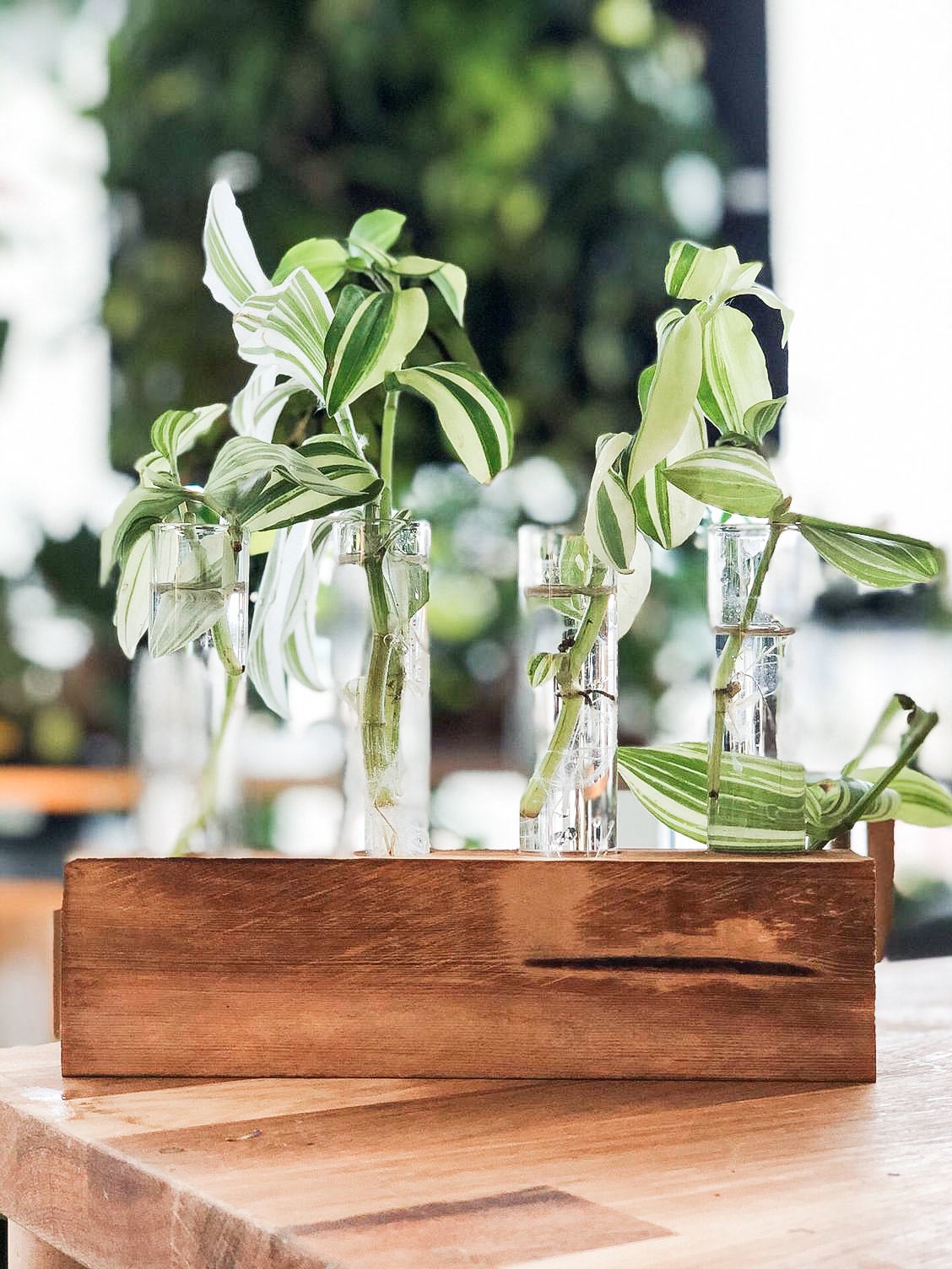Vase Test Tube Rustic | Botaniful
