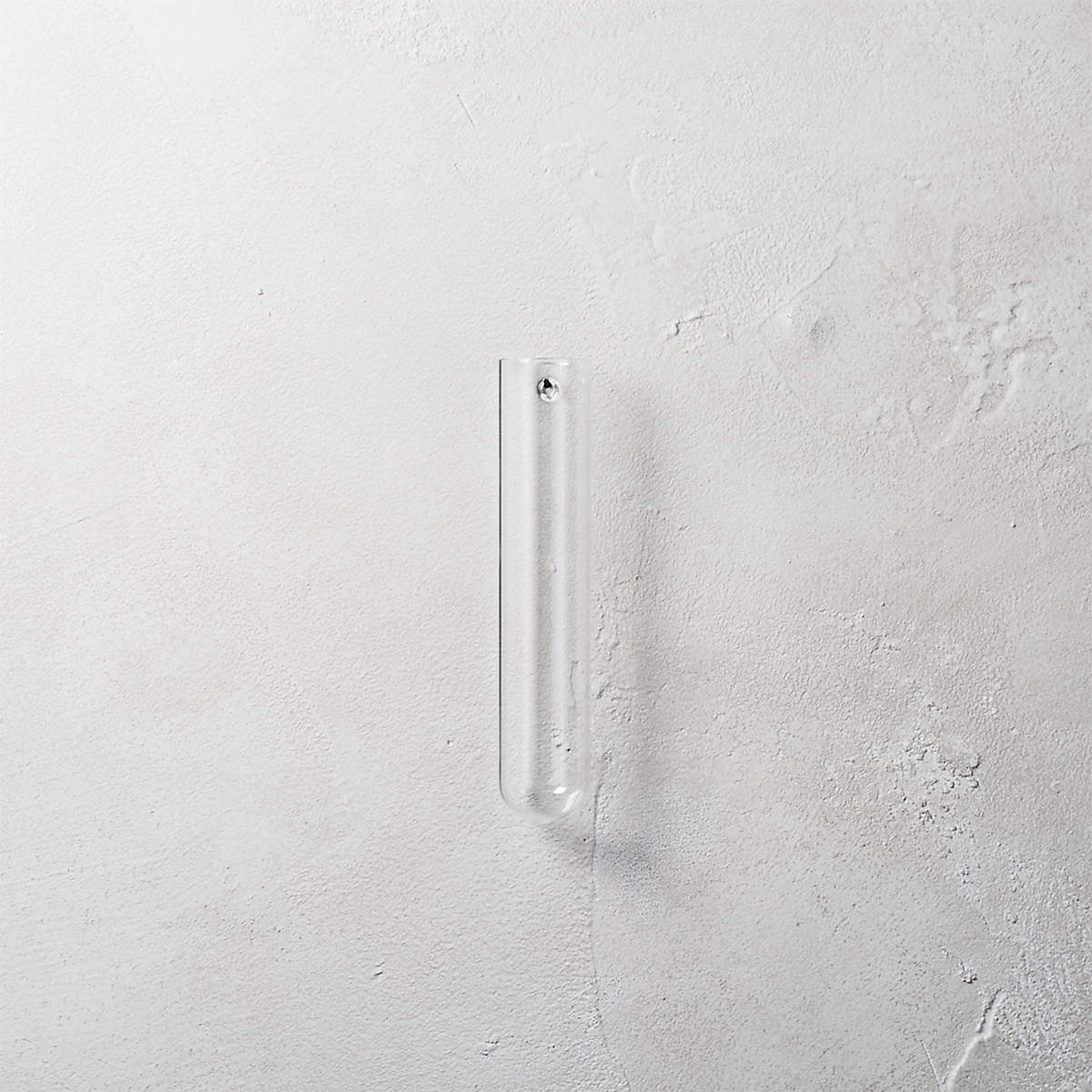 Wall Test Tube | Botaniful