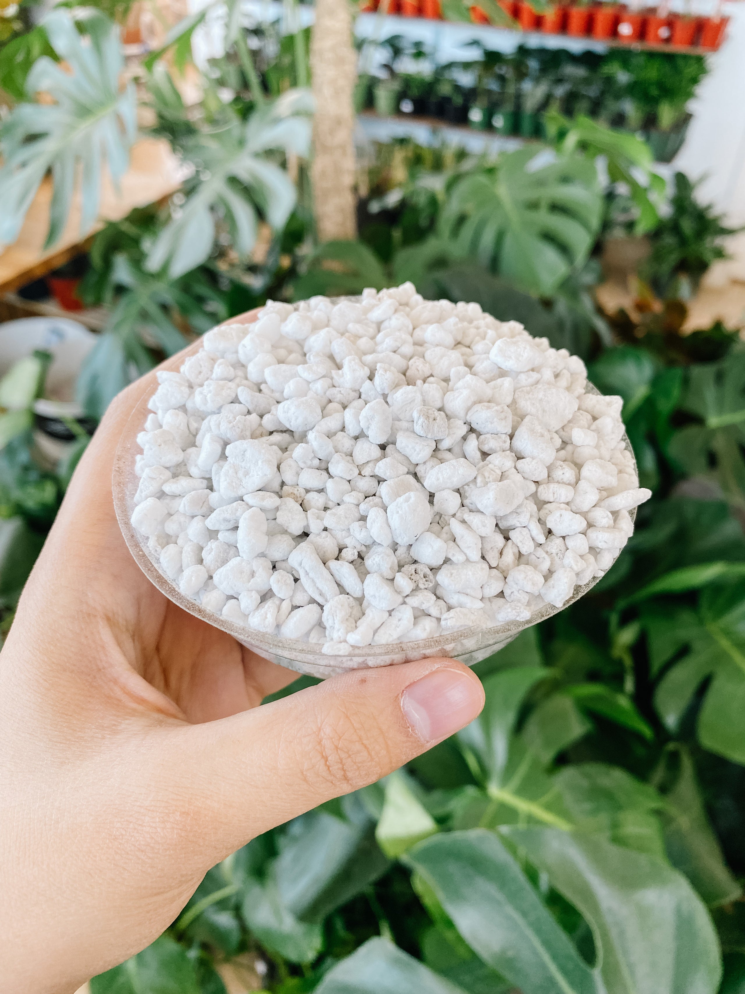 Perlite 4L | Botaniful
