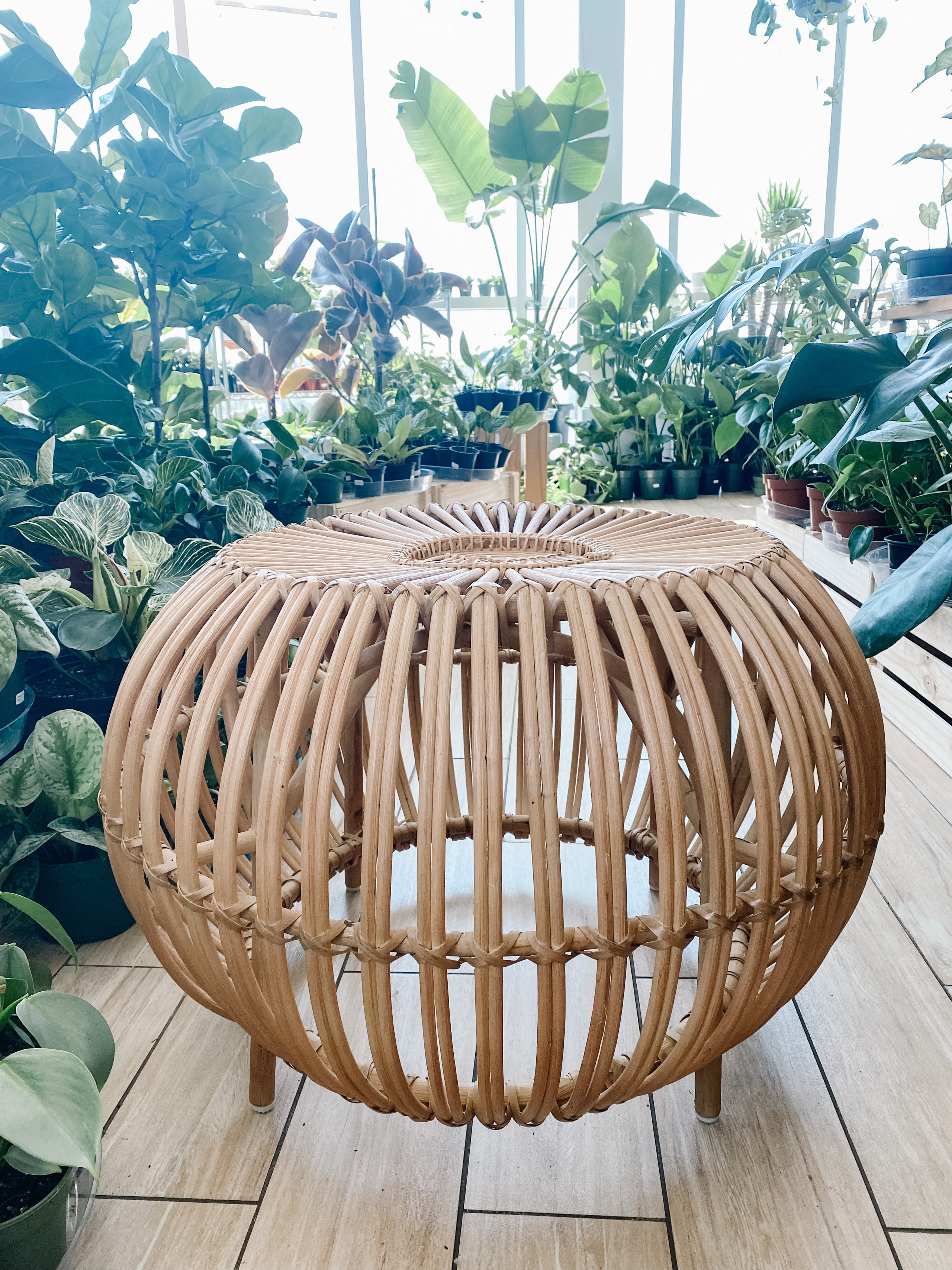 Rattan Table | Botaniful
