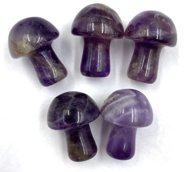 Amethyst Dog Tooth Mushroom Mini | Botaniful